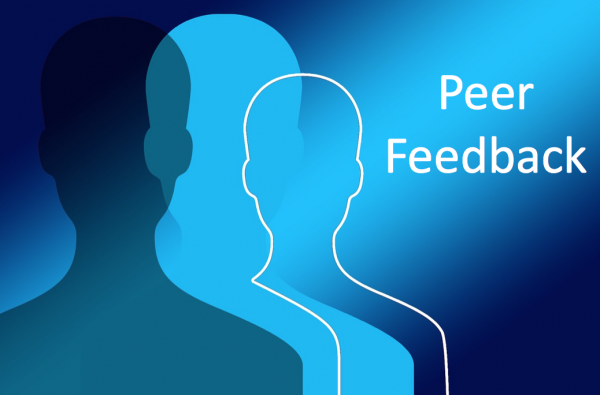 Peer Feedback