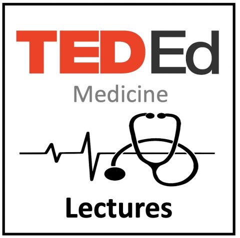TED Ed Medicine Lecture Worksheets / Academic English UK